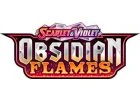 Obsidian Flames - Poke-Garage.cz